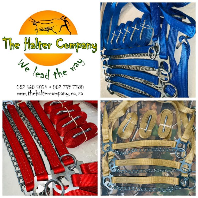 Show Cattle Halters – The Halter Company