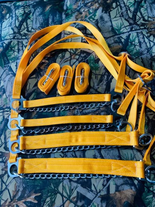 Show Cattle Halters - The Halter Company